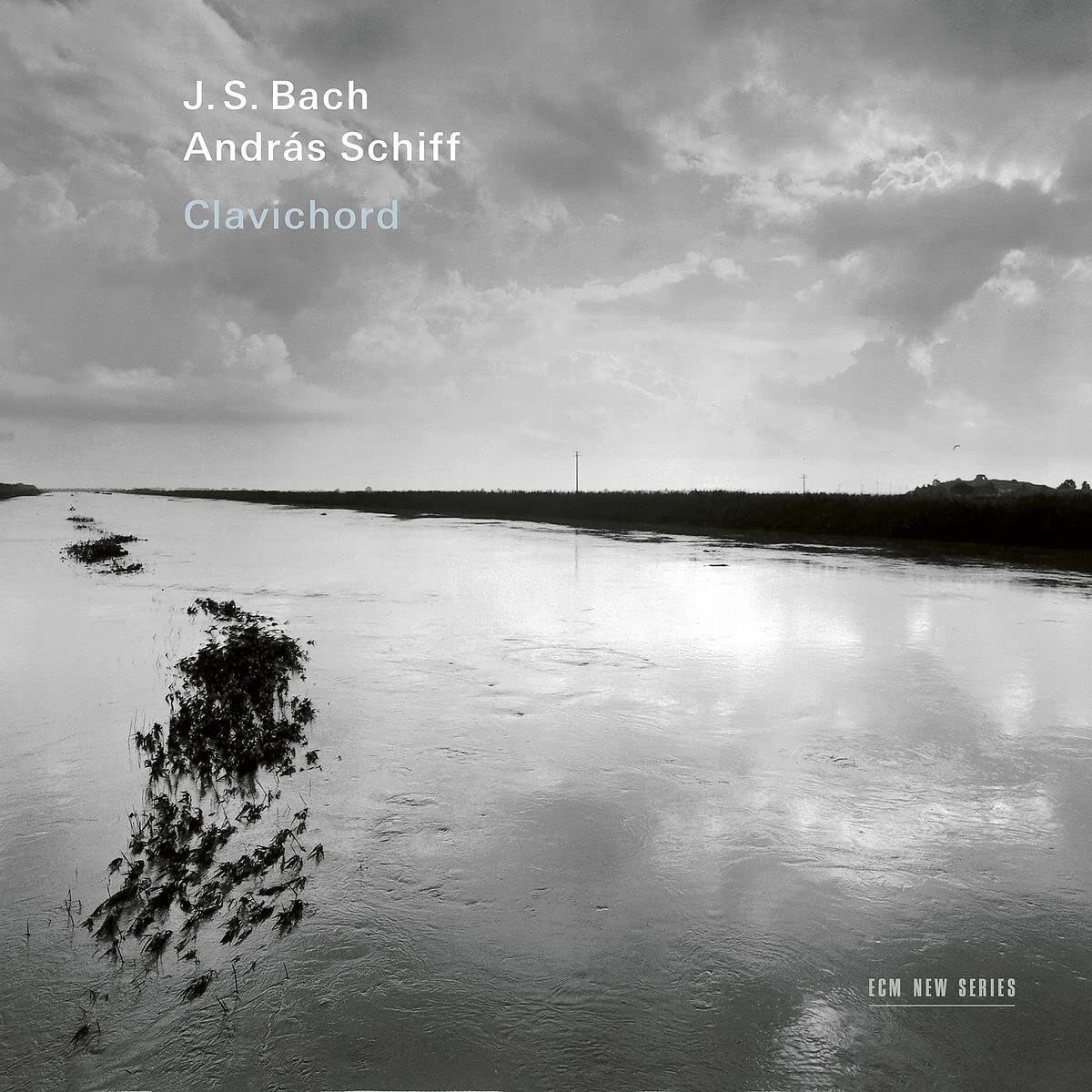 J.S.Bach: Clavichord - Bravado
