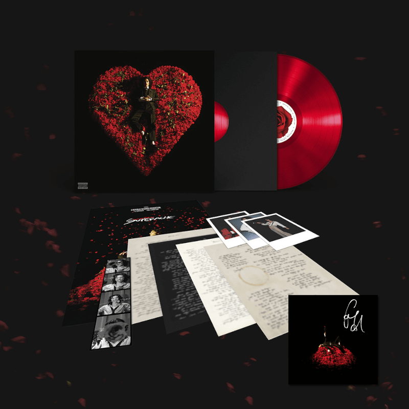 Superache Vinyl Bundle - Conan Gray