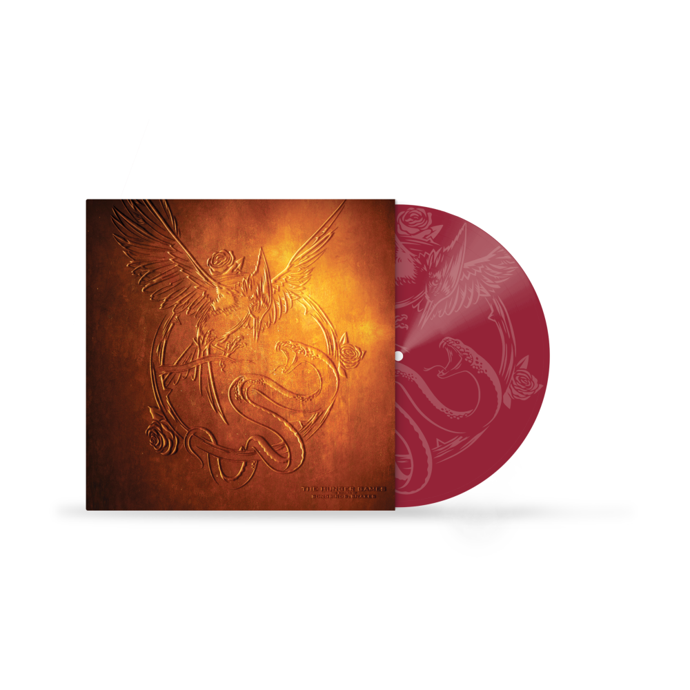 vinyl - Olivia Rodrigo