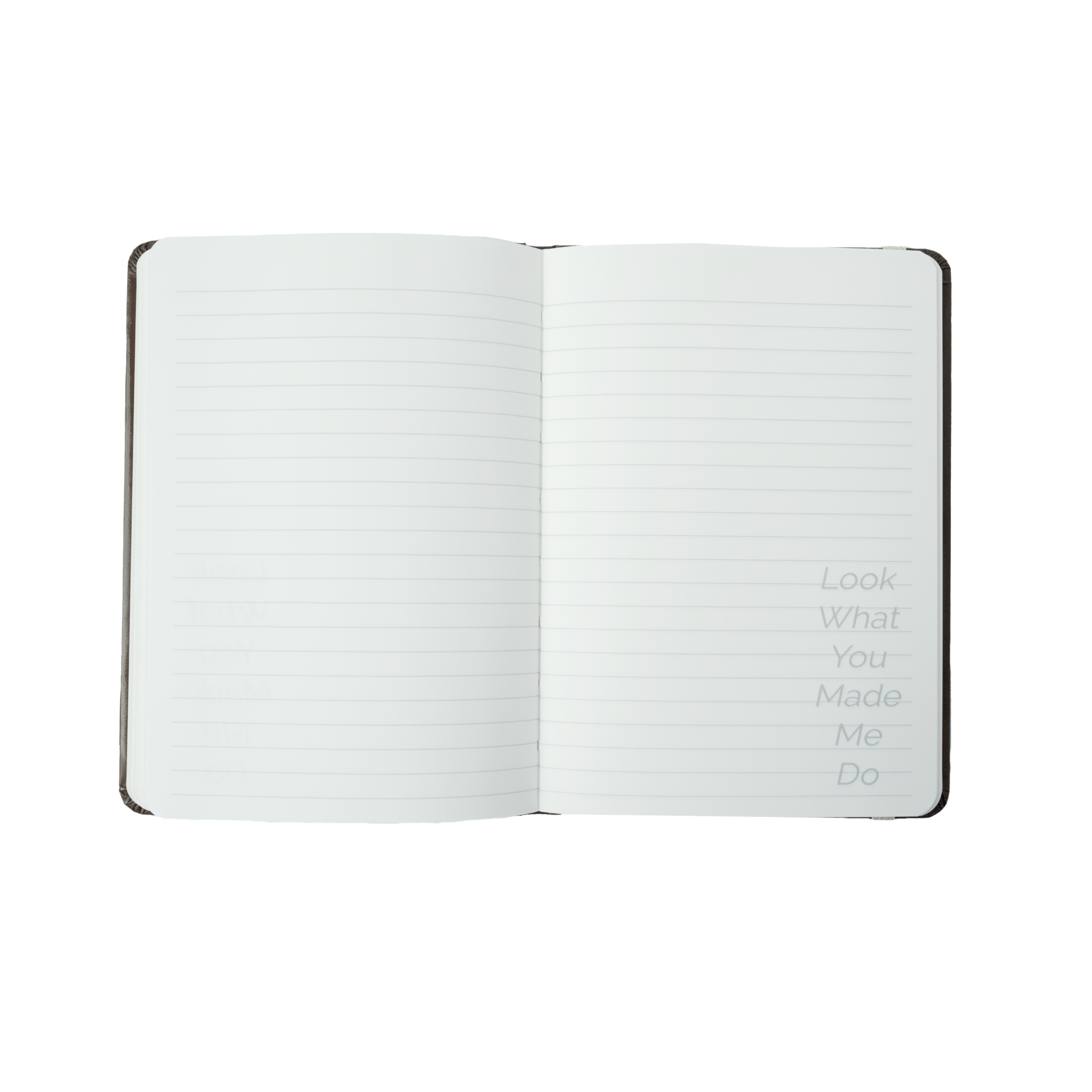 Jack Leopards & The Dolphin Club Notebook – Taylor Swift