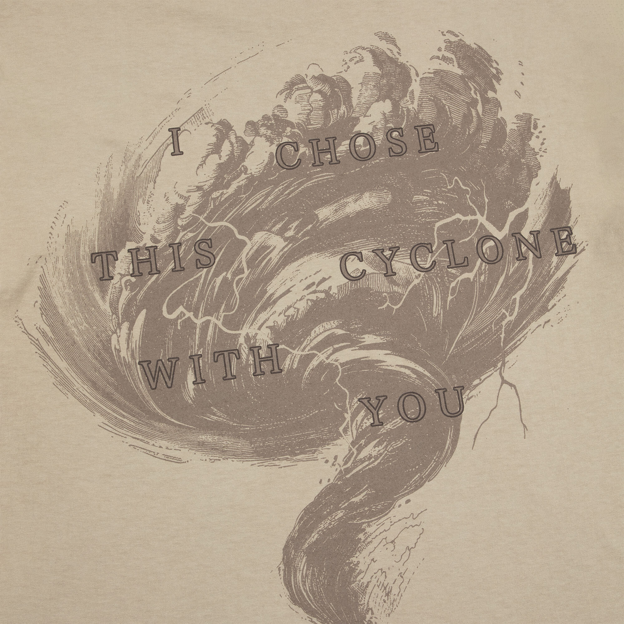 I Chose This Cyclone With You T-Shirt – Taylor Swift